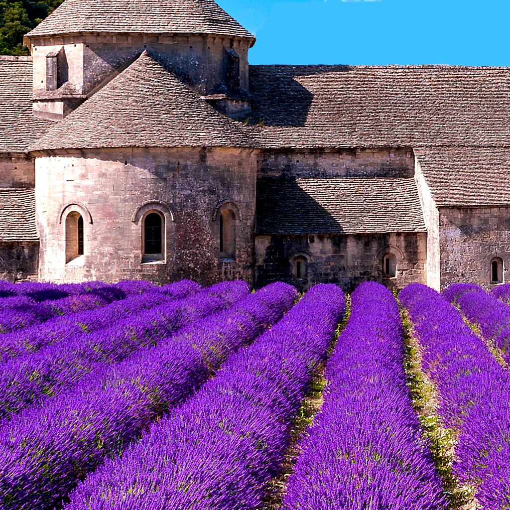 Provence’s Best - TouchScreenTravels